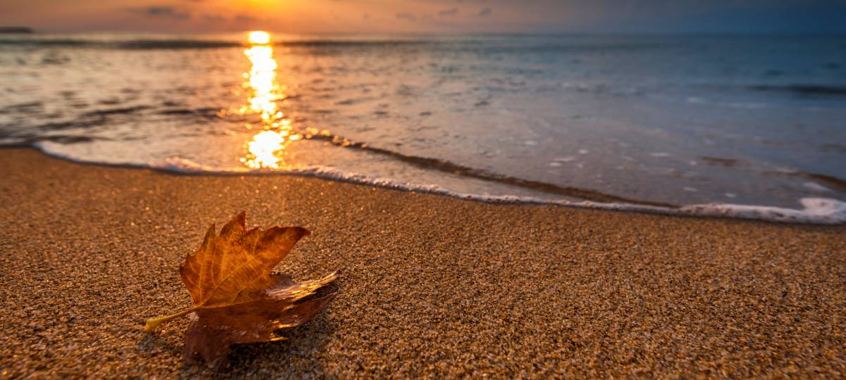 Top 5 Things to Do During Fall in the Grand Strand | Sea Star Realty